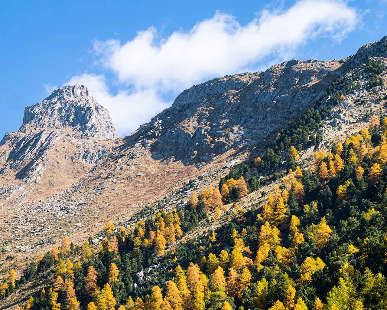 Discover Haute Maurienne Vanoise - Haute Maurienne Vanoise